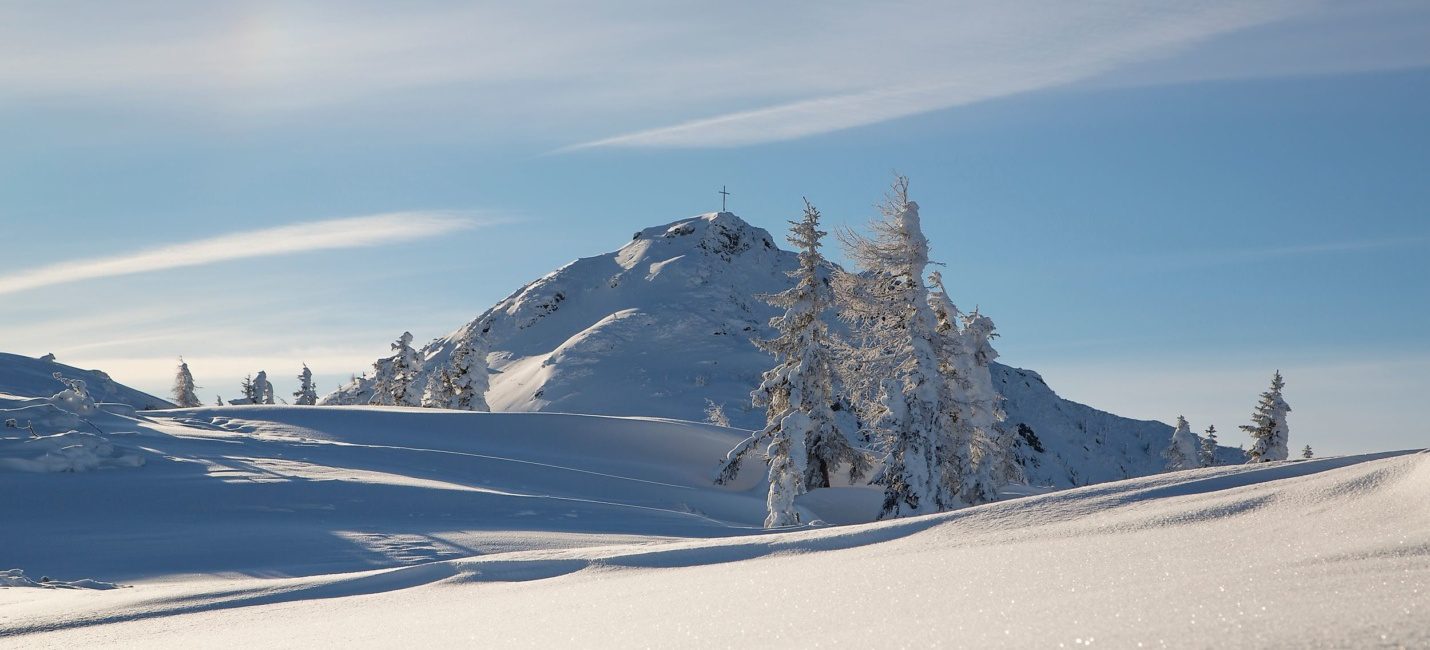 Winter- & Skiurlaub in Flachau, Ski amadé: Hotel Schützenhof